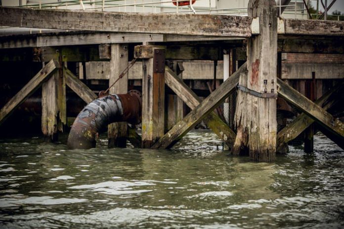 Tien Baars Tips | Baarsspecialist Vincent Tobé | Check Beet.nl