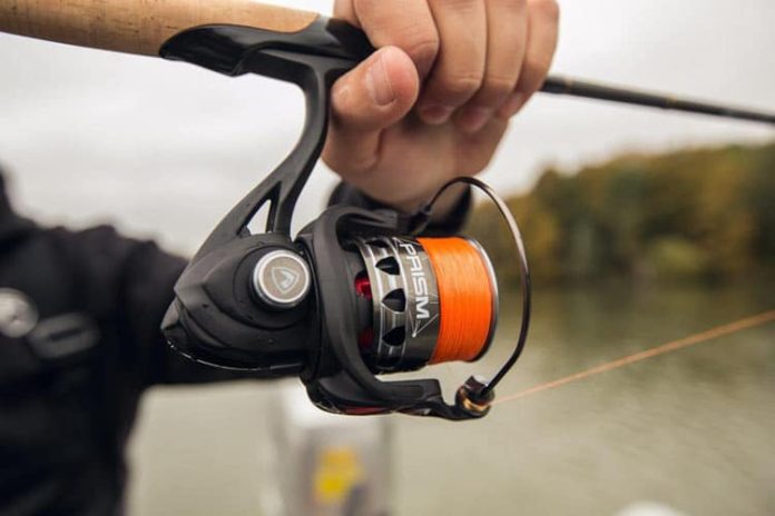 Tien Baars Tips | Baarsspecialist Vincent Tobé | Check Beet.nl