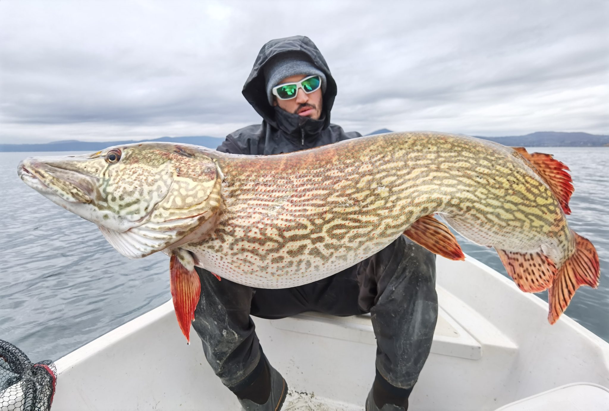 De Zwaarste snoek van Nederland? - Beet Magazine