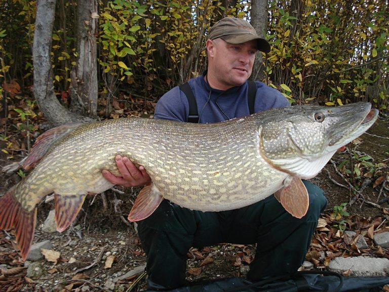 DE ZWAARSTE SNOEK VAN NEDERLAND? - Beet Magazine