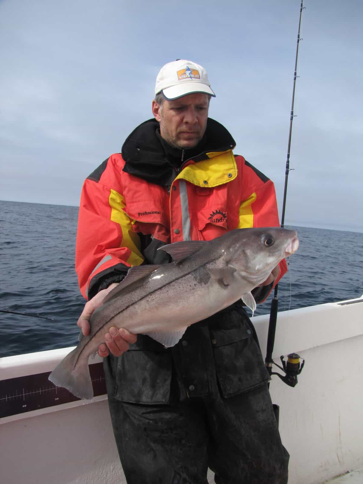 Skrei - Op jacht naar de vis der Vikingen - Beet Magazine