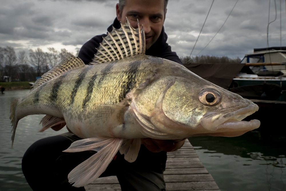 Een blik op de toekomst - Beet Magazine