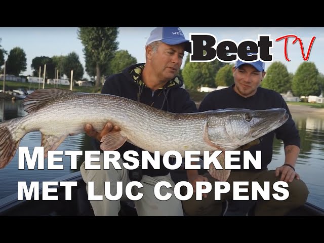 Metersnoeken vangen met Luc Coppens - Beet Magazine