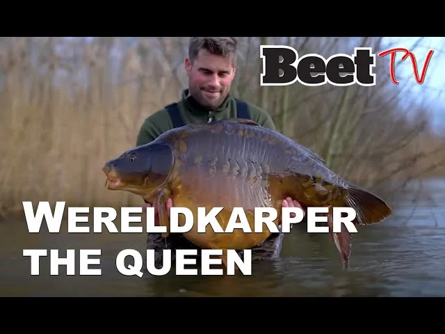 Vangst van de bekendste karper ooit? - Beet Magazine