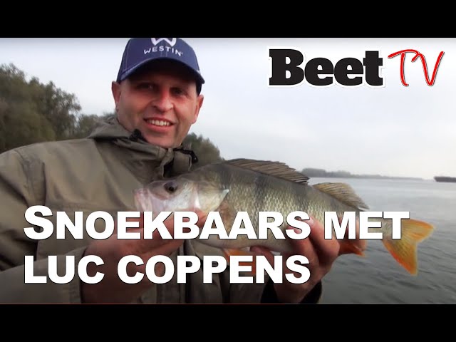 Luc Coppens - Alles over het vissen op snoekbaars - Beet Magazine
