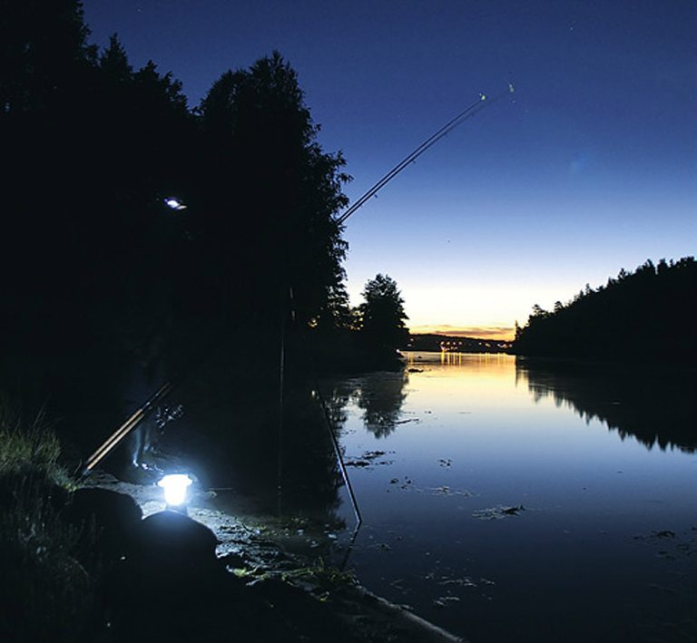 Waar, hoe en waarmee vang je paling? - Lees het op Beet.nl